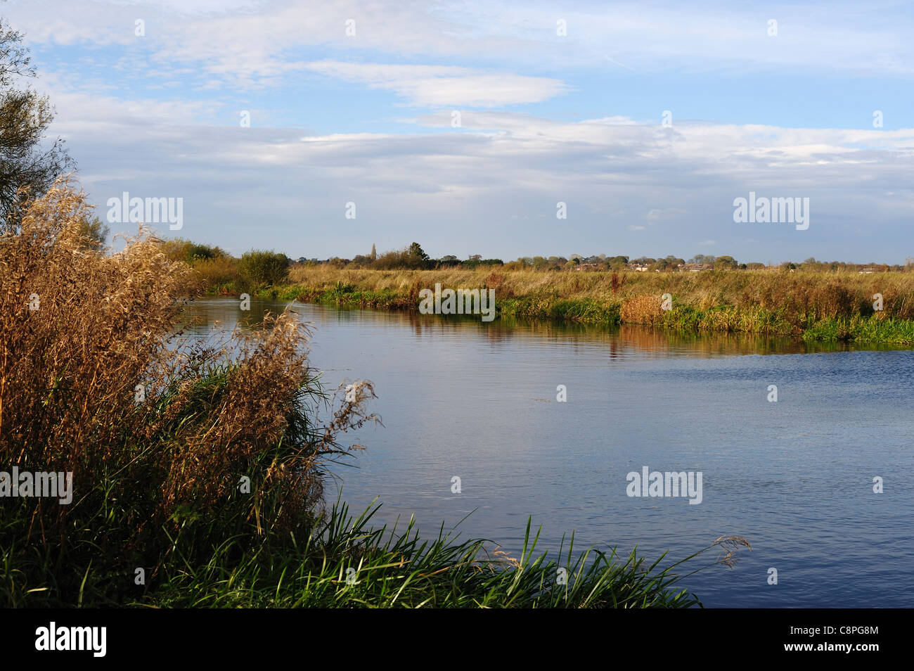 Water rail river witham hi-res stock photography and images - Alamy