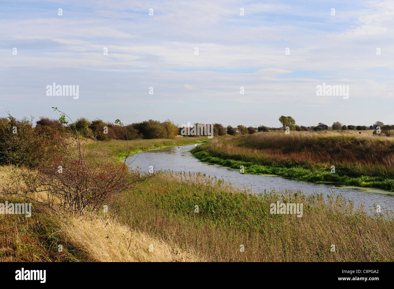 Fen River Way High Resolution Stock Photography and Images - Alamy