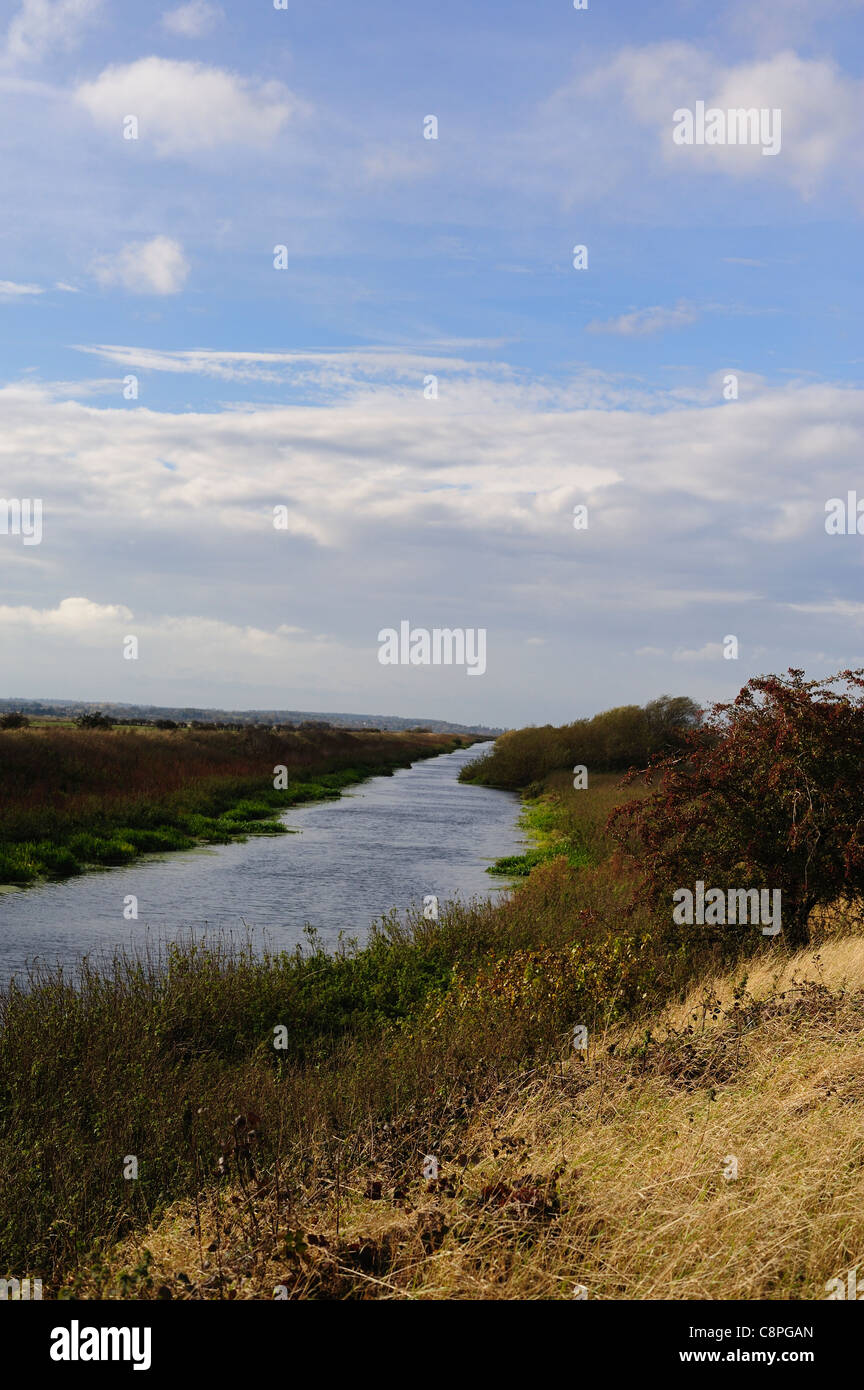 Water rail river witham hi-res stock photography and images - Alamy