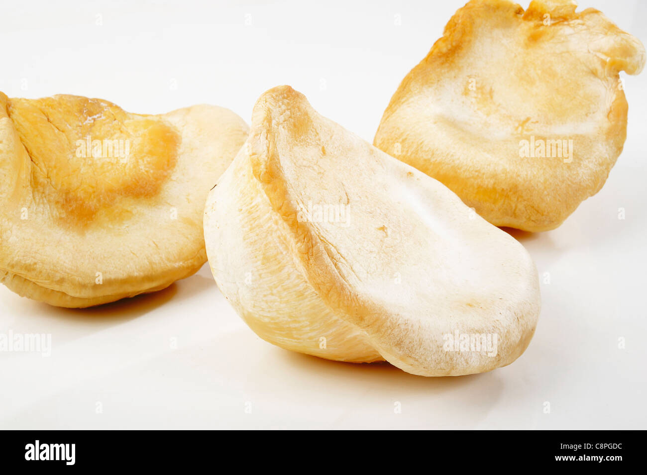 Abalone Mushrooms High Resolution Stock Photography and Images - Alamy