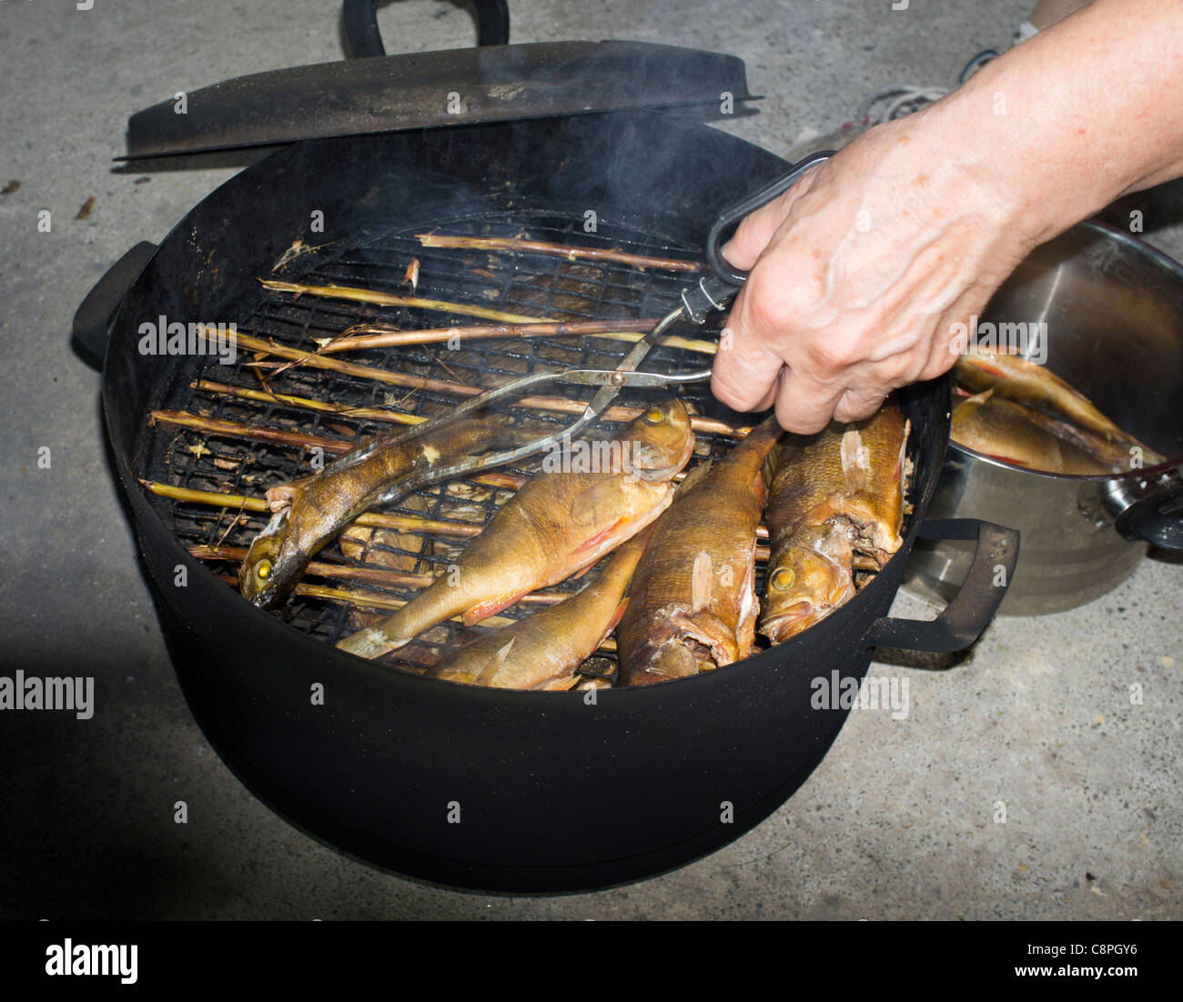 Hand picking perch fish hi-res stock photography and images - Alamy