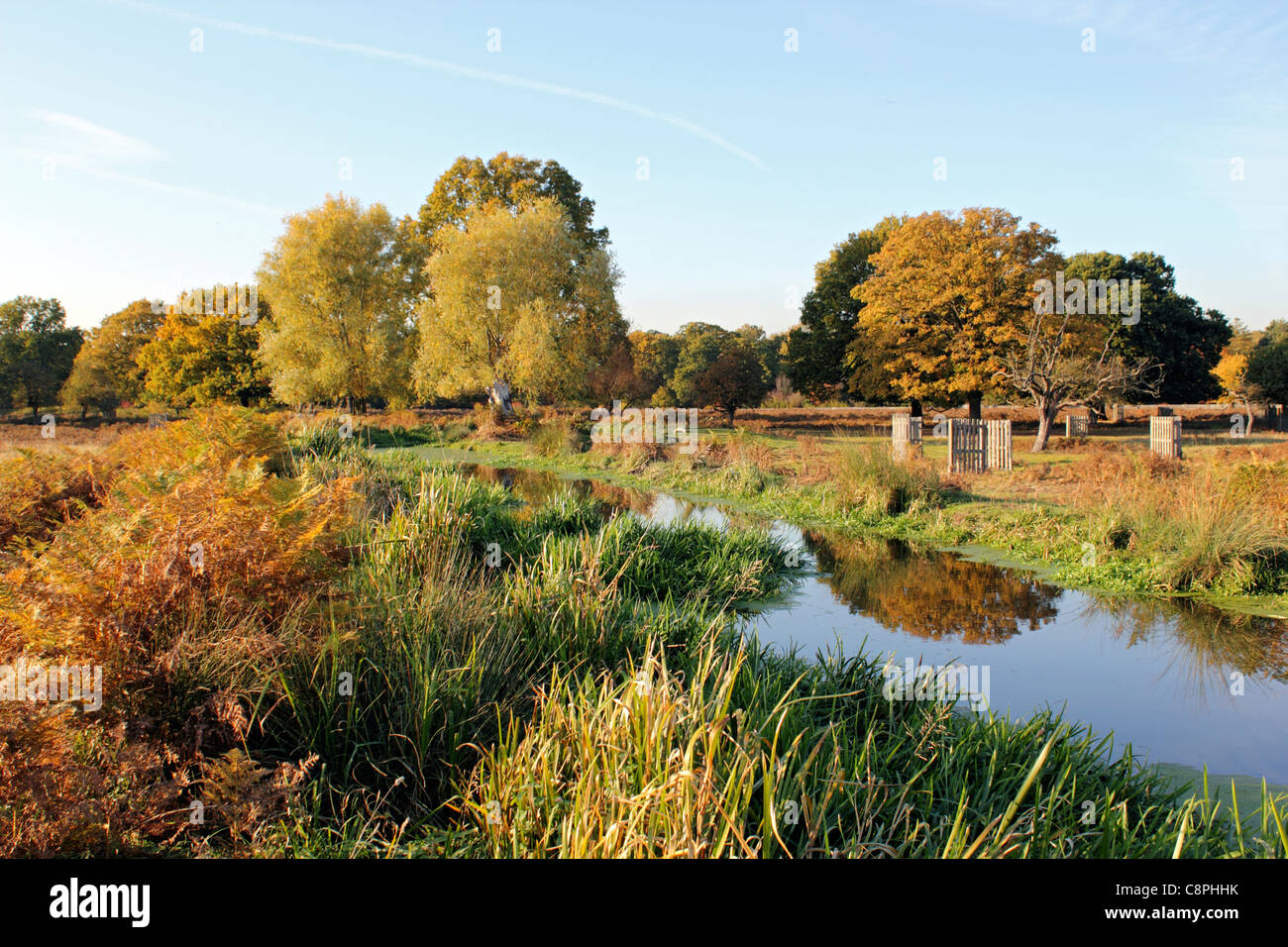 The Longford River in Bushy Park, one of London's Royal Parks near ...
