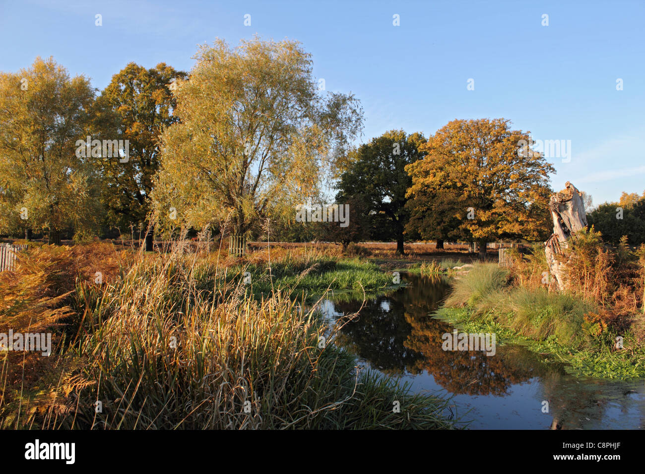The Longford River in Bushy Park, one of London's Royal Parks near ...
