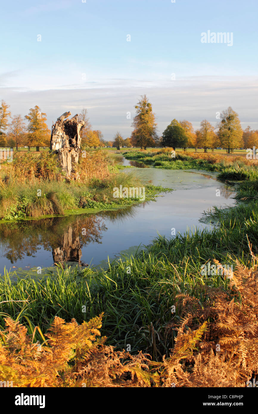 The Longford River in Bushy Park, one of London's Royal Parks near ...