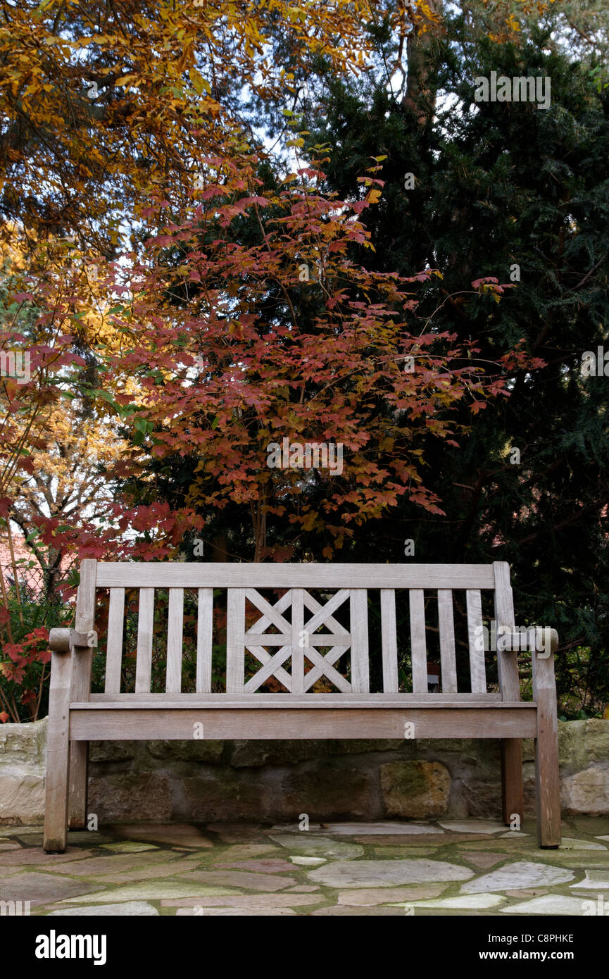 Teak wood trees hi-res stock photography and images - Alamy