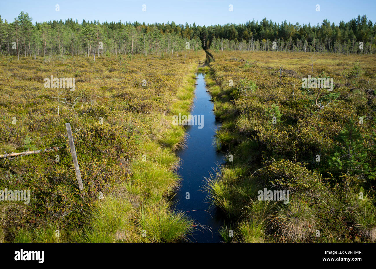Isolated drainage ditch for drying up a swamp , Finland Stock Photo - Alamy