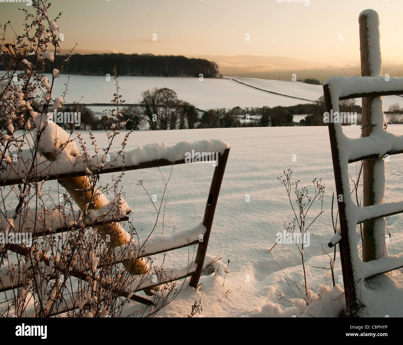 Landscape open white golden rural country farm unlocked dawn sunset hi ...