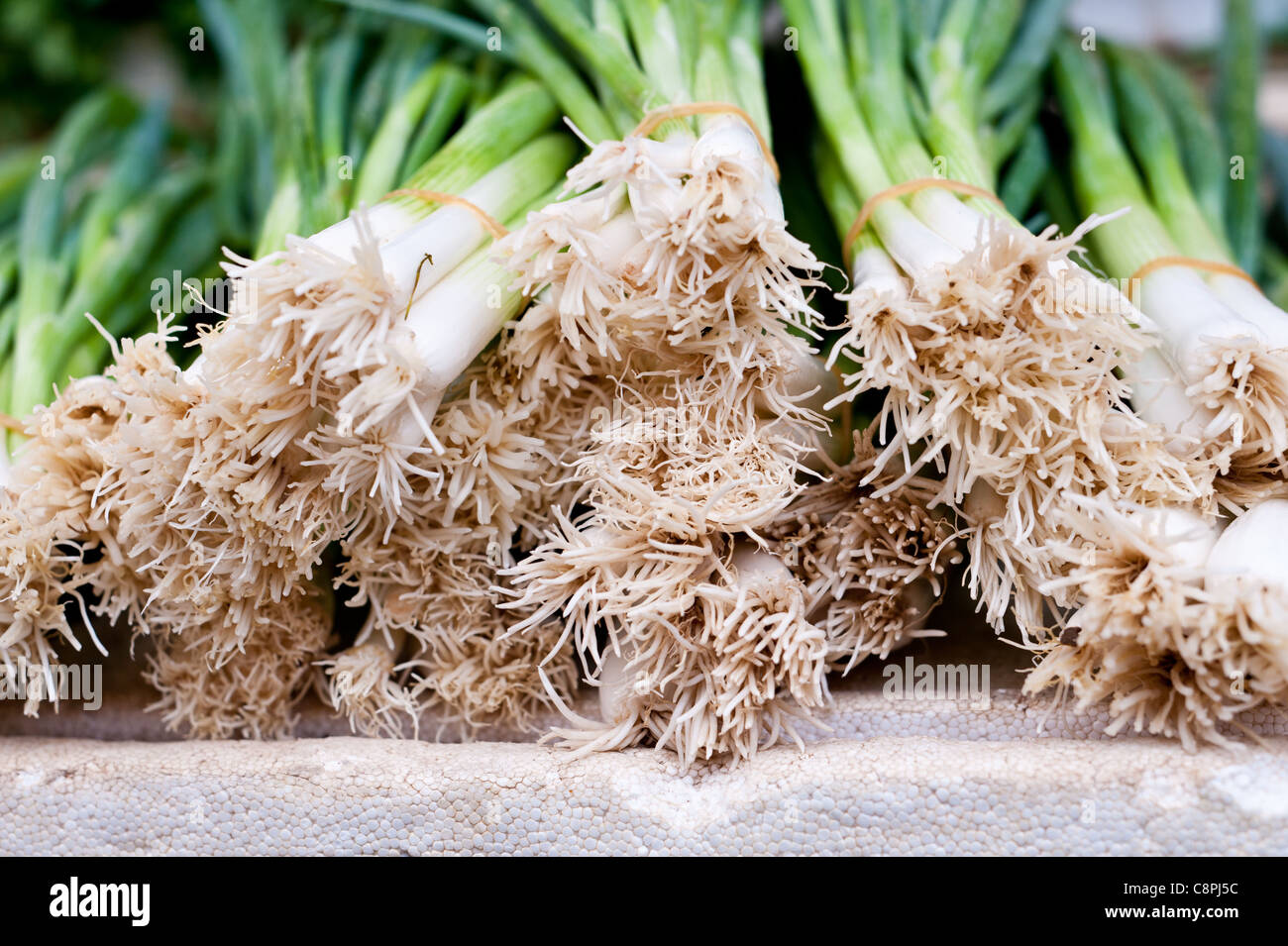 The roots of green onions in a vegetable stand in the market Stock ...