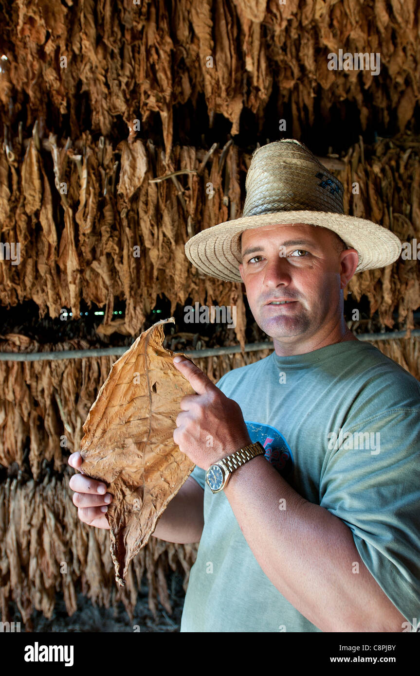 Tobacco drying barn hi-res stock photography and images - Alamy