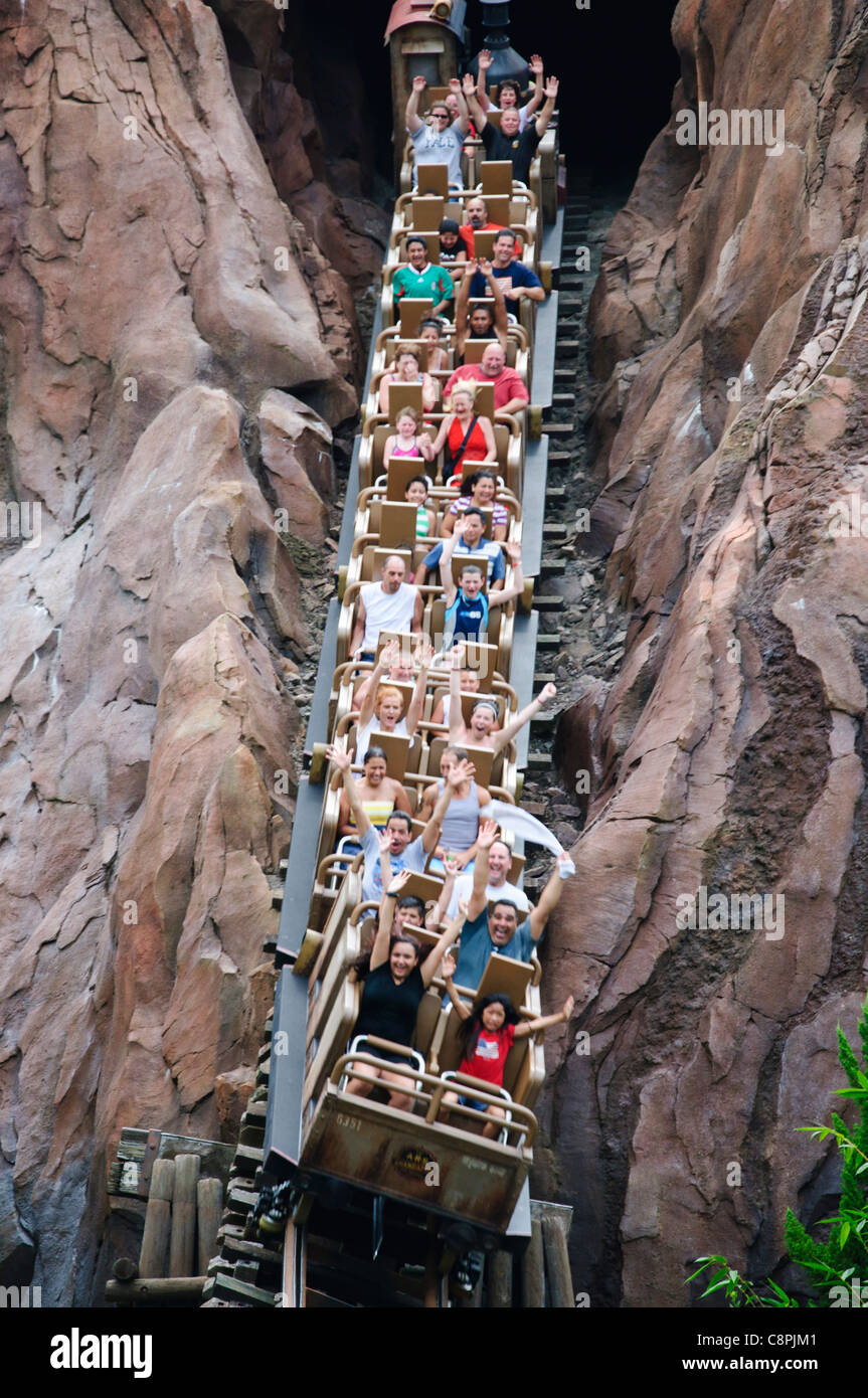 Expedition Everest in the Asia area of Disney's Animal Kingdom theme ...