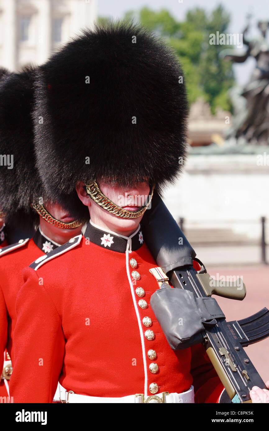 Buckingham Palace Guards Guns