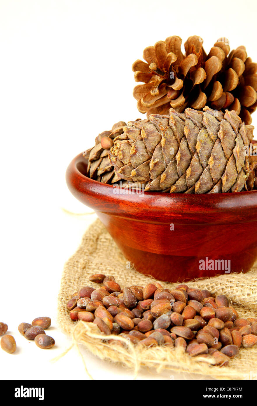 pine nuts, with cedar on a white background Stock Photo - Alamy