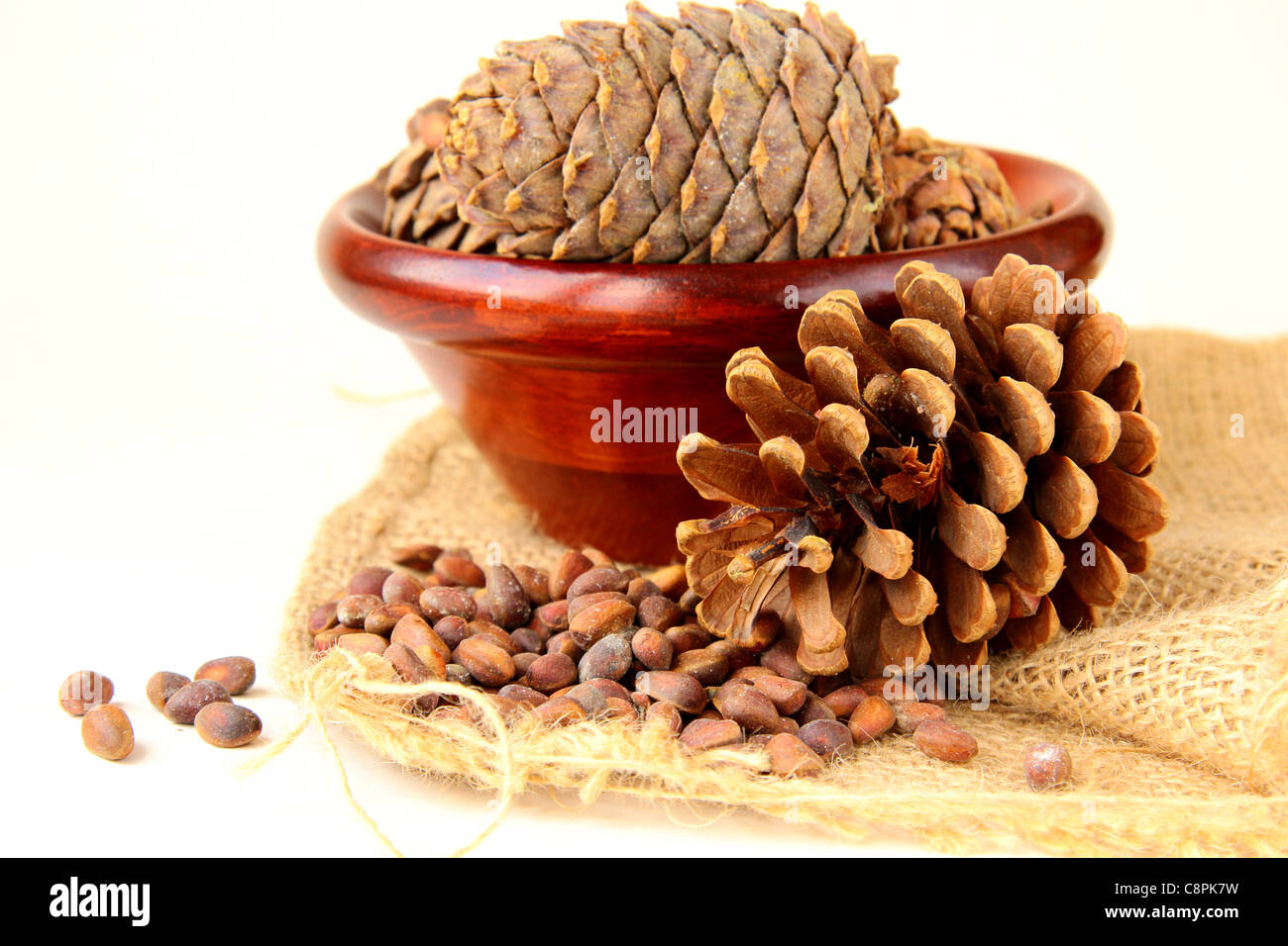 pine nuts, with cedar on a white background Stock Photo - Alamy