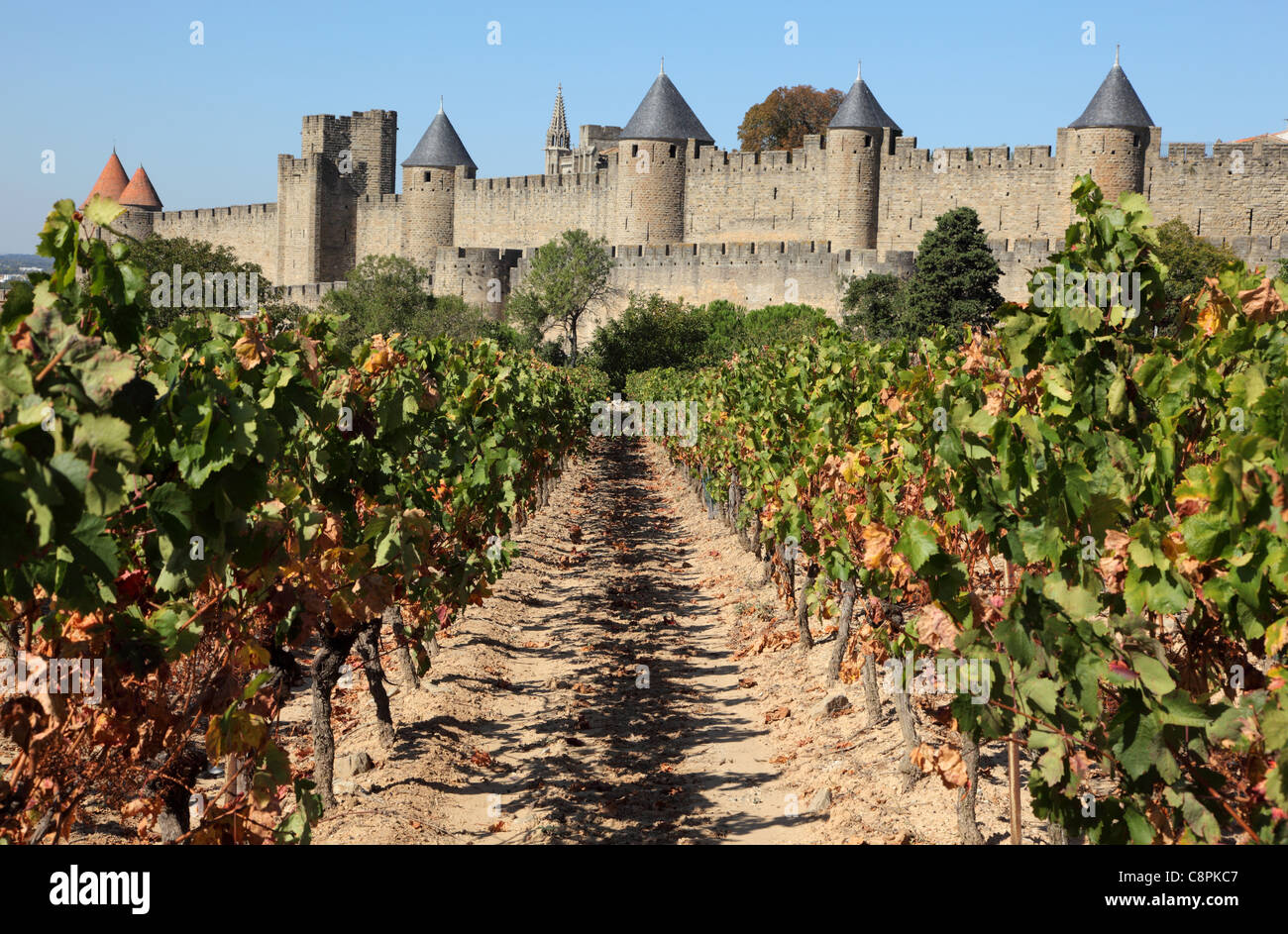 French vineyard hi-res stock photography and images - Alamy