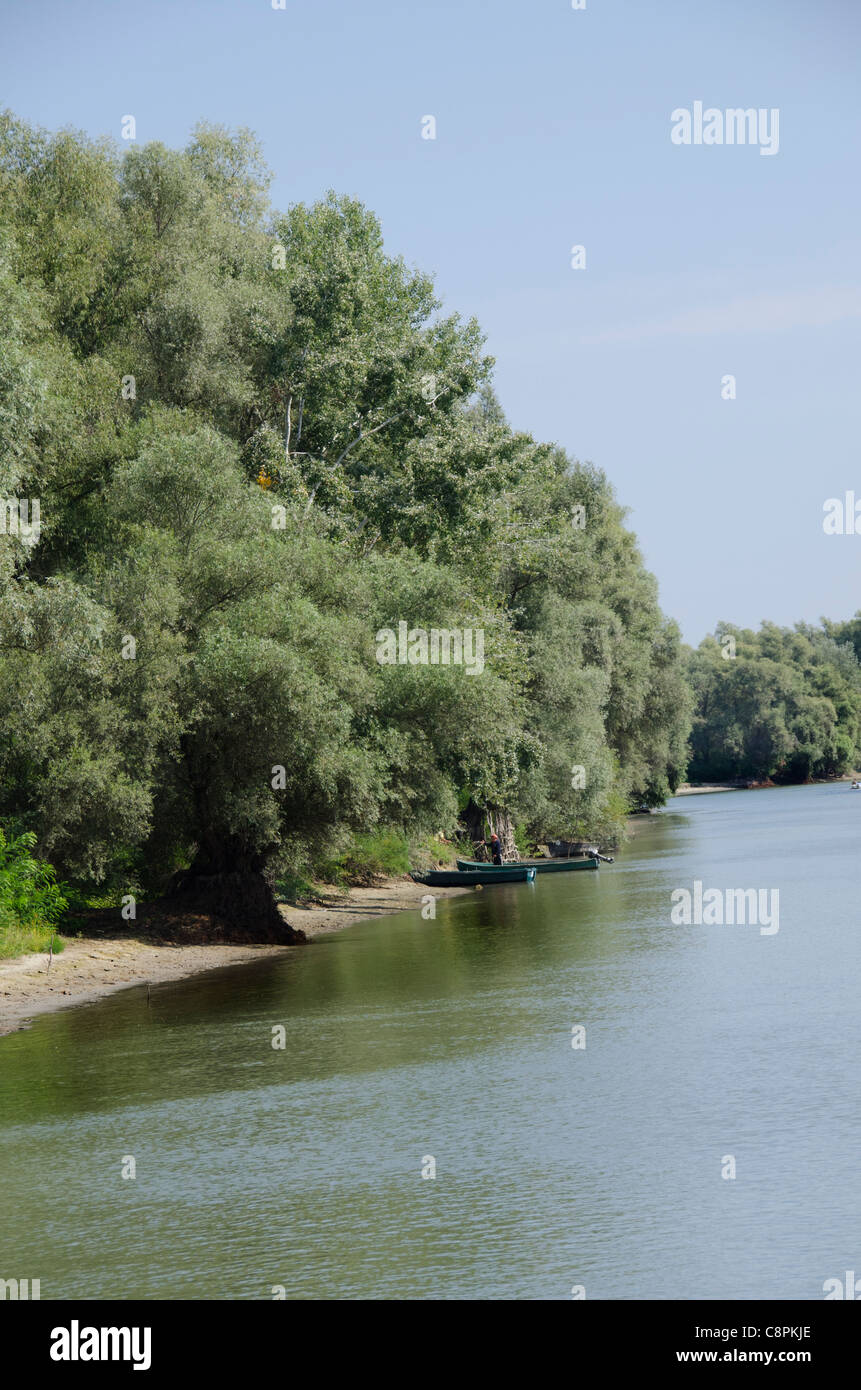 Danube delta romania hi-res stock photography and images - Alamy