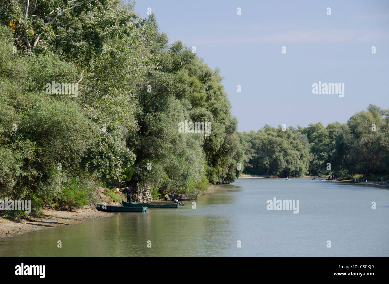 Romania, Dobrudgea region, Tulcea, Danube Delta. Sulina channel lined ...