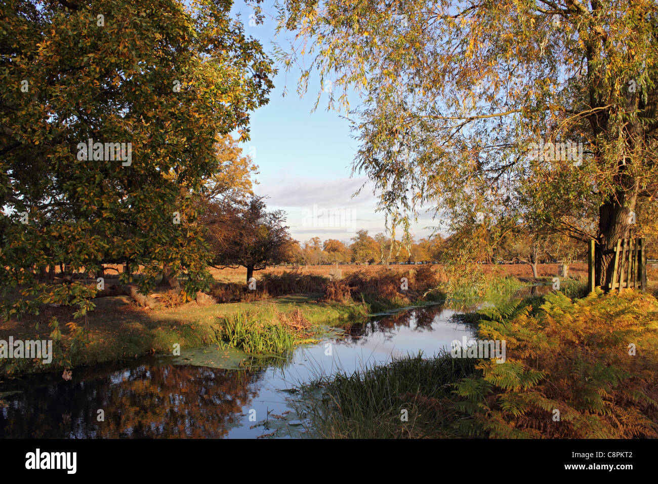 The Longford River in Bushy Park, one of London's Royal Parks near ...