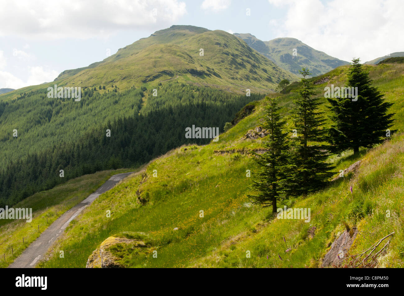 Ben Donich from the 'Rest and be Thankful' pass, Argyll, Highland ...