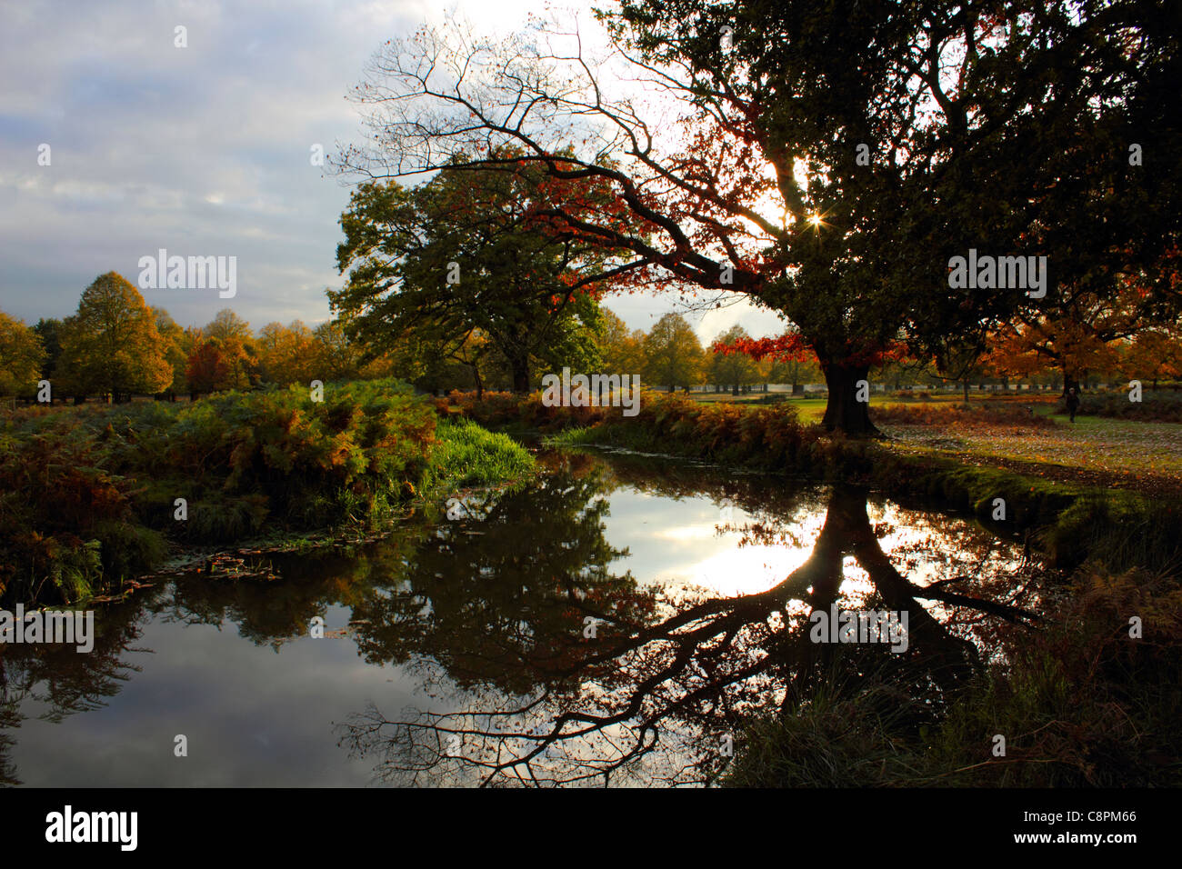 The Longford River in Bushy Park, one of London's Royal Parks near ...