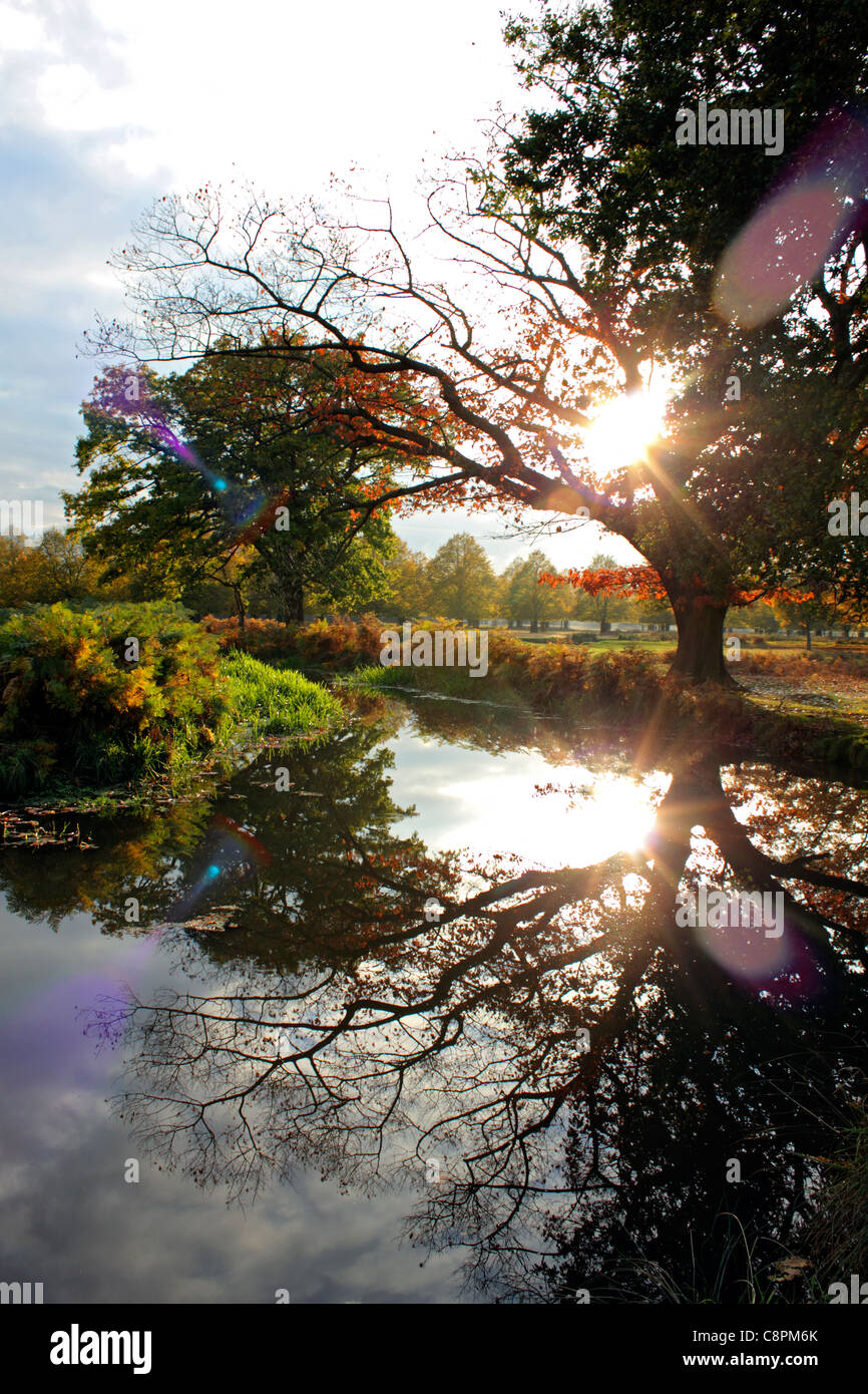 The Longford River in Bushy Park, one of London's Royal Parks near ...
