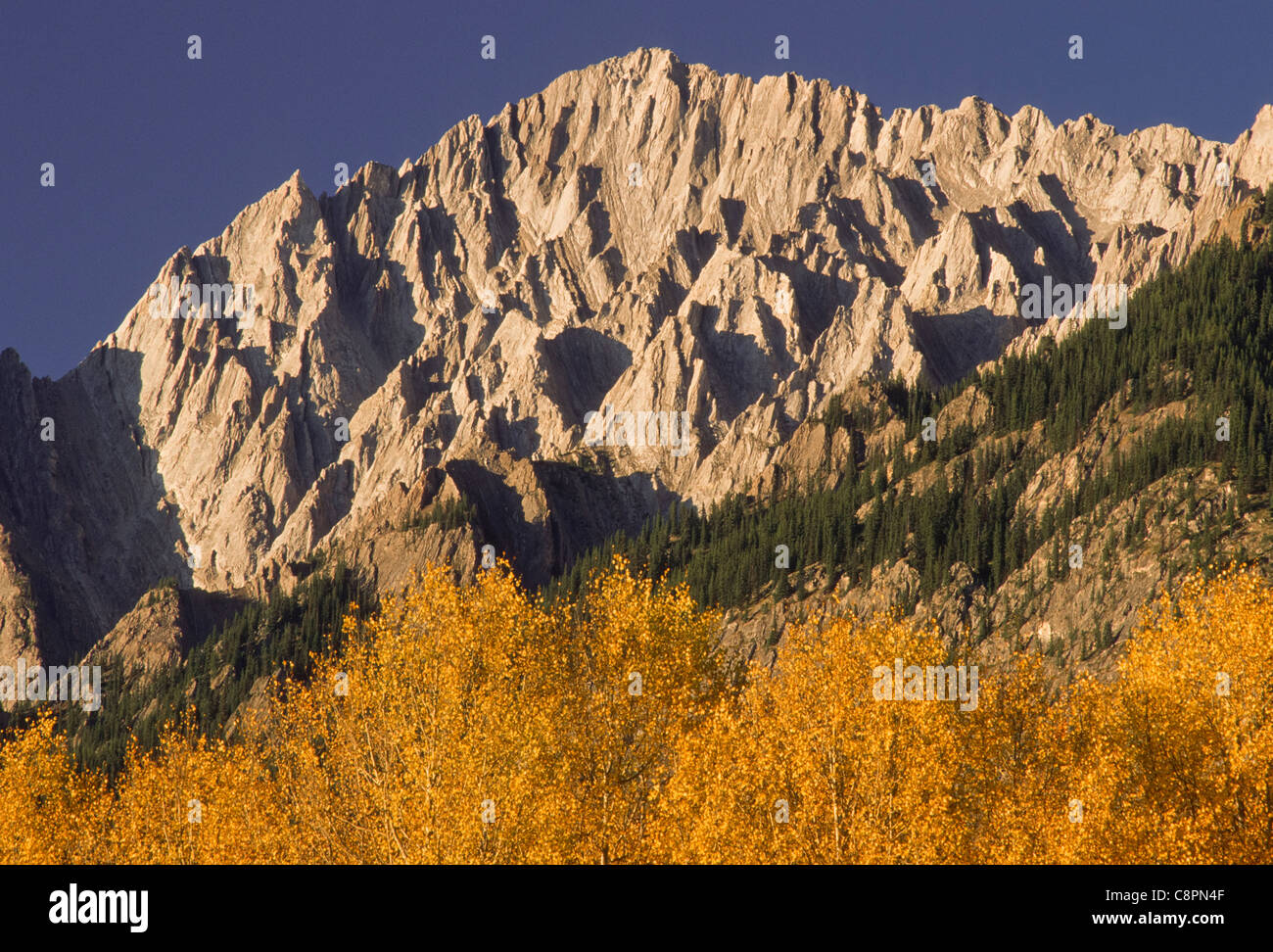 Heavily eroded peaks of the Sawback Range and fall-colored quaking ...