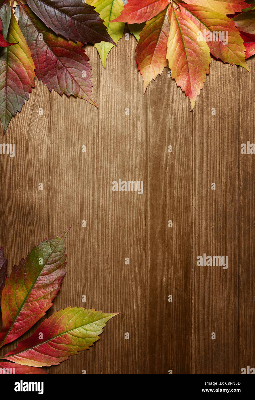 Vertical leaves background hi-res stock photography and images - Alamy