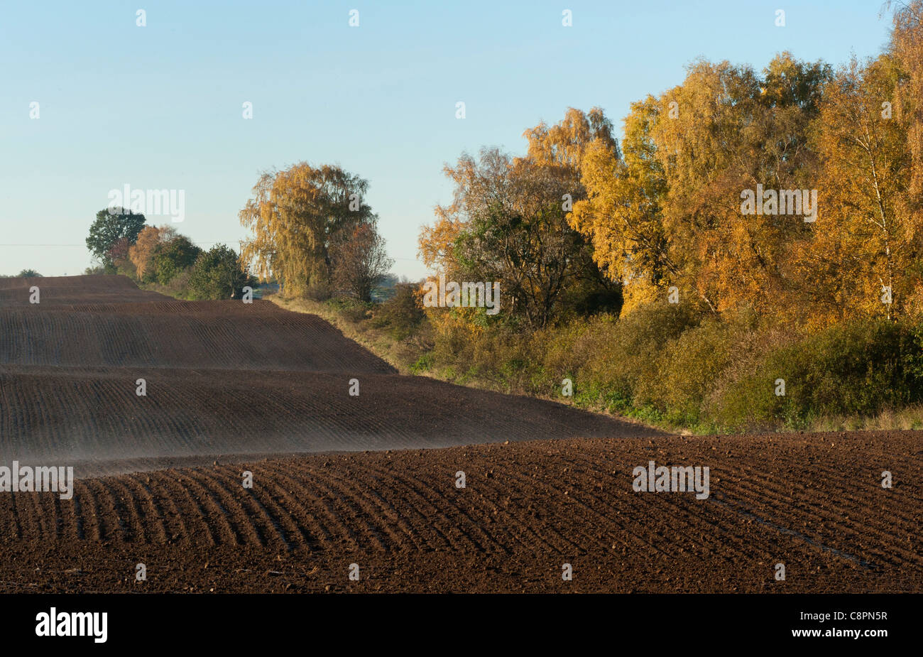 Colourful trees and bushes along a newly harrowed field Stock Photo - Alamy