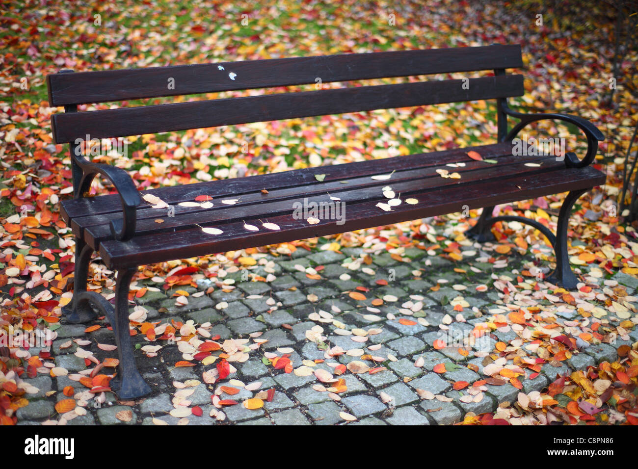 Park bench among fallen autumn leaves lonely solitude emptiness fall ...