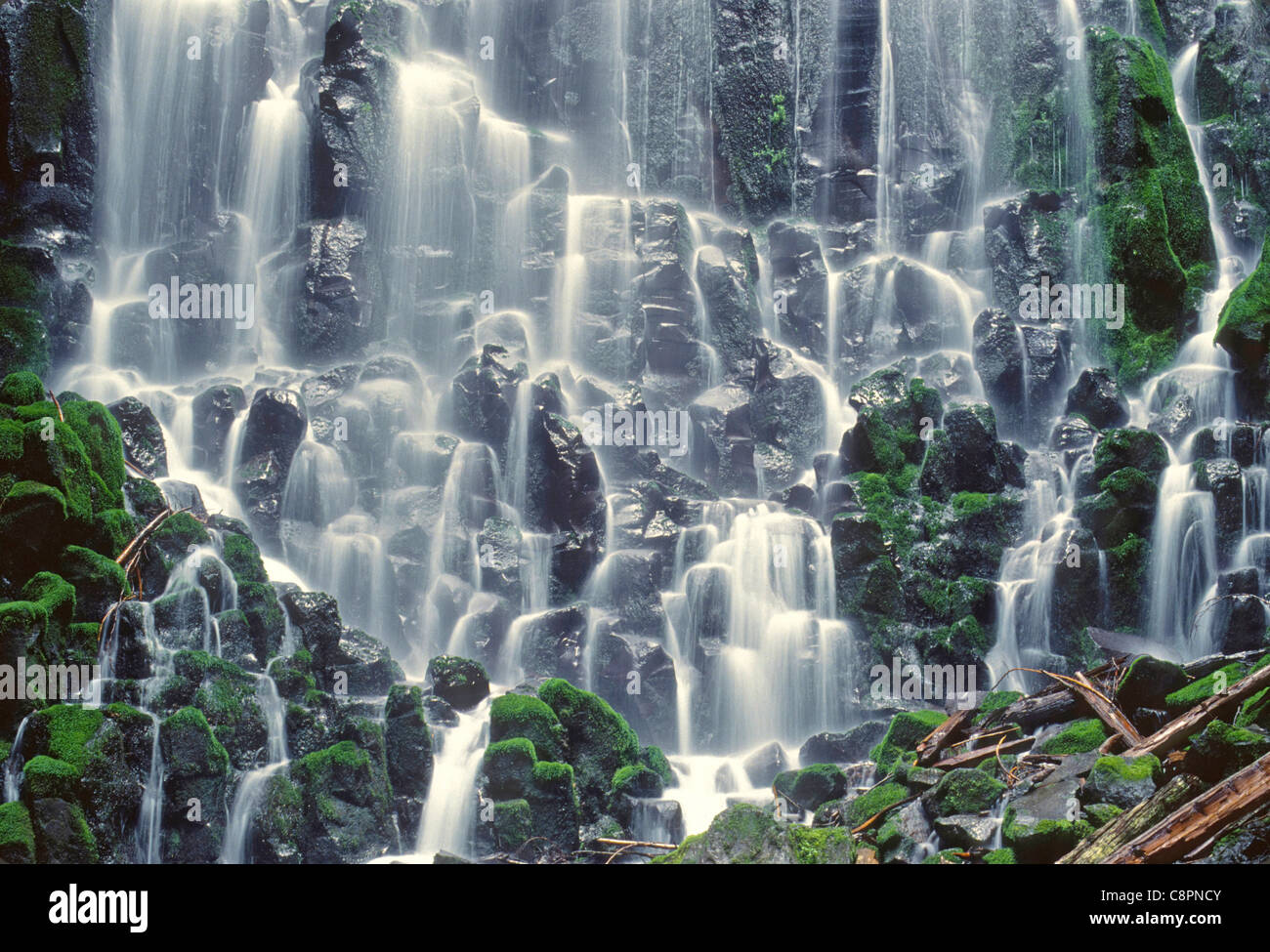 Ramona Falls tumbles over a mossy cliff of columnar basalt, Mt. Hood ...