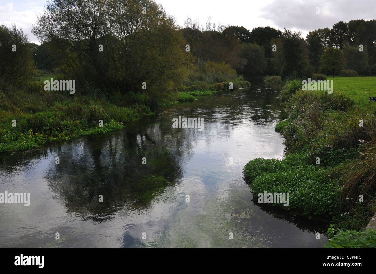 THE CRYSTAL CLEAR WATER OF THE RIVER ITCHEN AT WINCHESTER Stock Photo ...