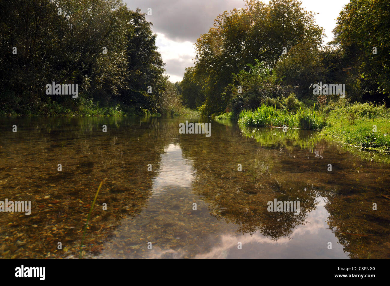 THE CRYSTAL CLEAR WATER OF THE RIVER ITCHEN AT WINCHESTER Stock Photo ...