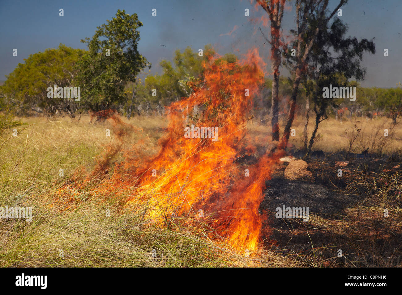 Burnt timber end hi-res stock photography and images - Alamy