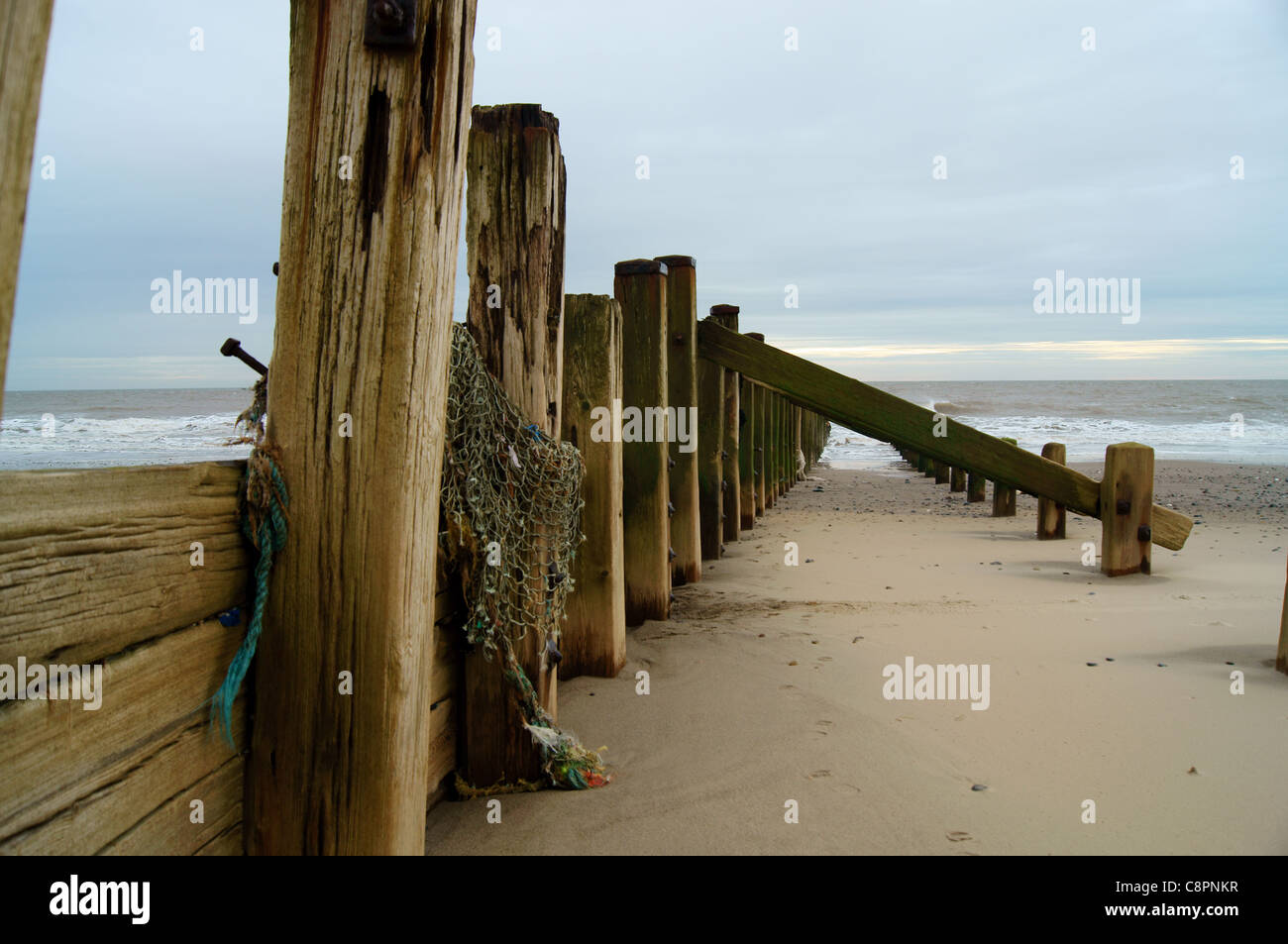 Groynes, coastal management at Spurn Point on the East Yorkshire coast ...