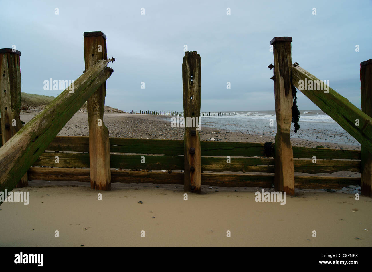 Groynes, coastal management at Spurn Point on the East Yorkshire coast ...