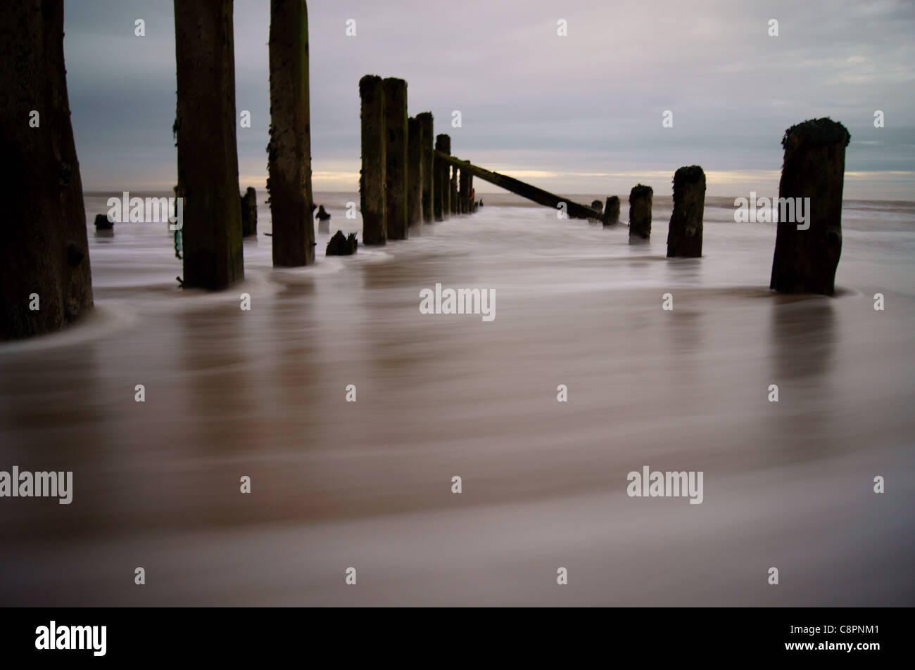 Groynes, coastal management at Spurn Point on the East Yorkshire coast ...