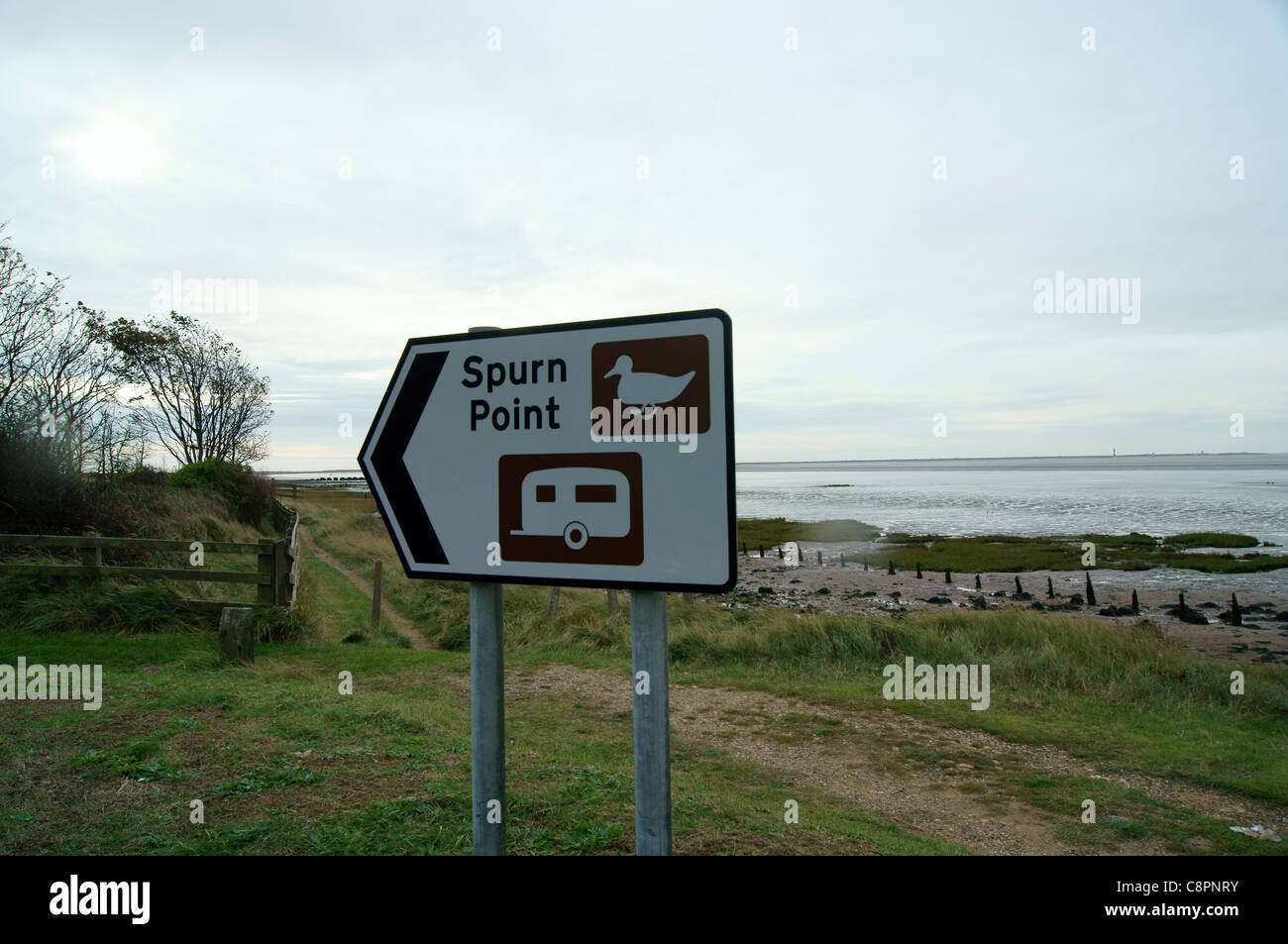 Ravenspurn hi-res stock photography and images - Alamy