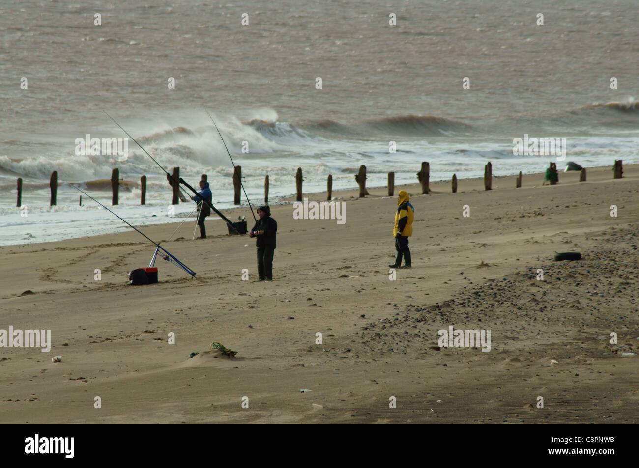 Groynes, coastal management at Spurn Point on the East Yorkshire coast ...