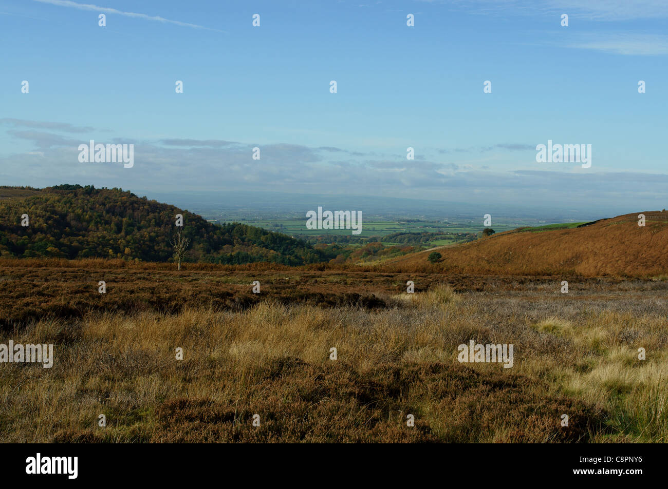 The Yorkshire Moors Stock Photo - Alamy