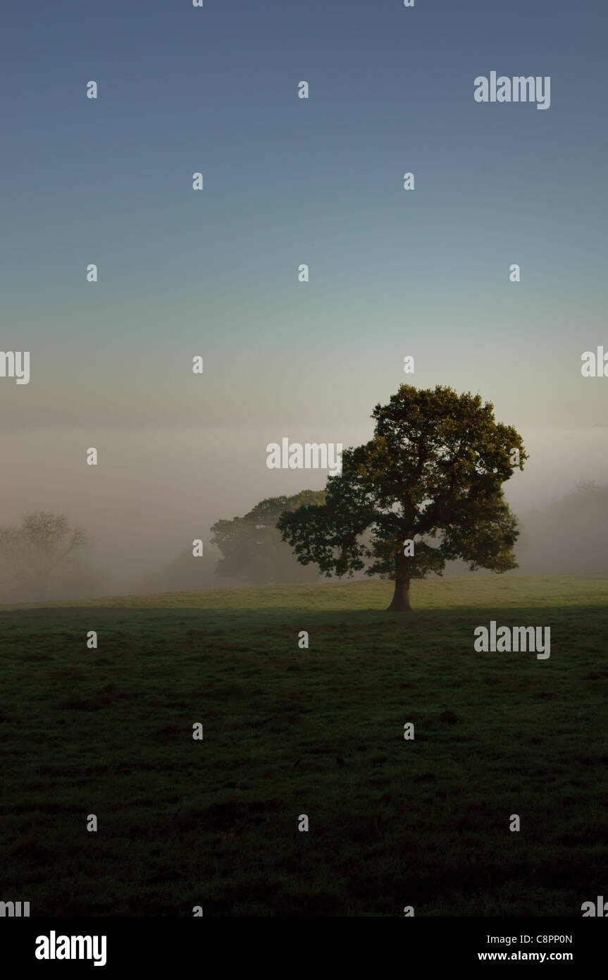 Mist Leeds High Resolution Stock Photography and Images - Alamy