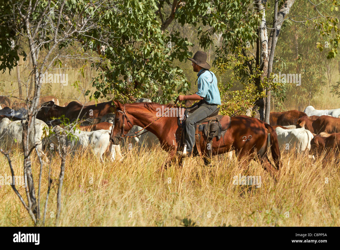 Nt muster hi-res stock photography and images - Alamy