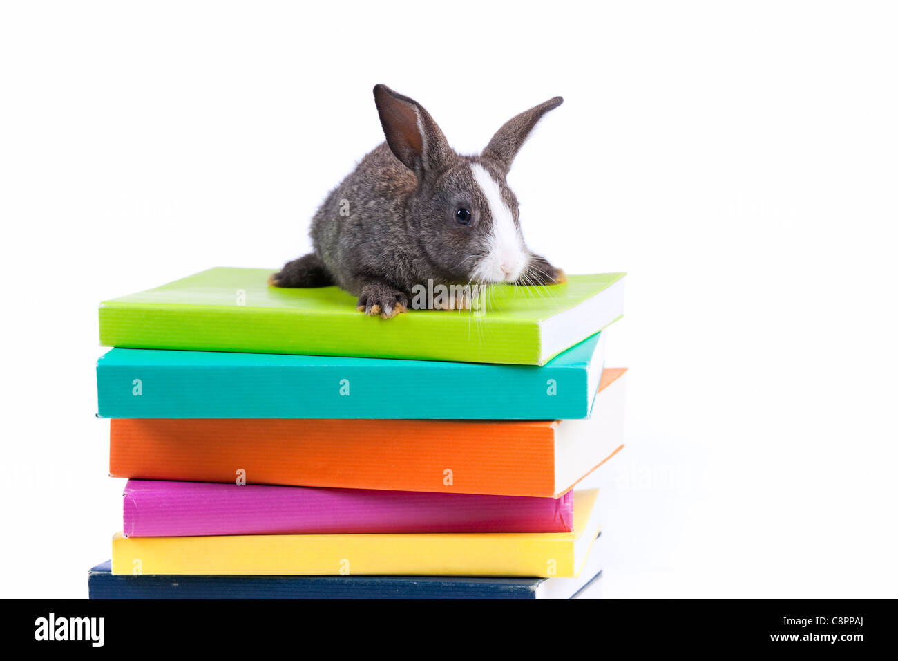 Rabbit books hi-res stock photography and images - Alamy