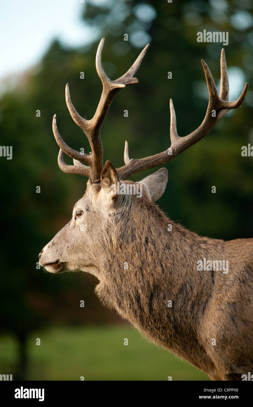 Onlooking hi-res stock photography and images - Alamy