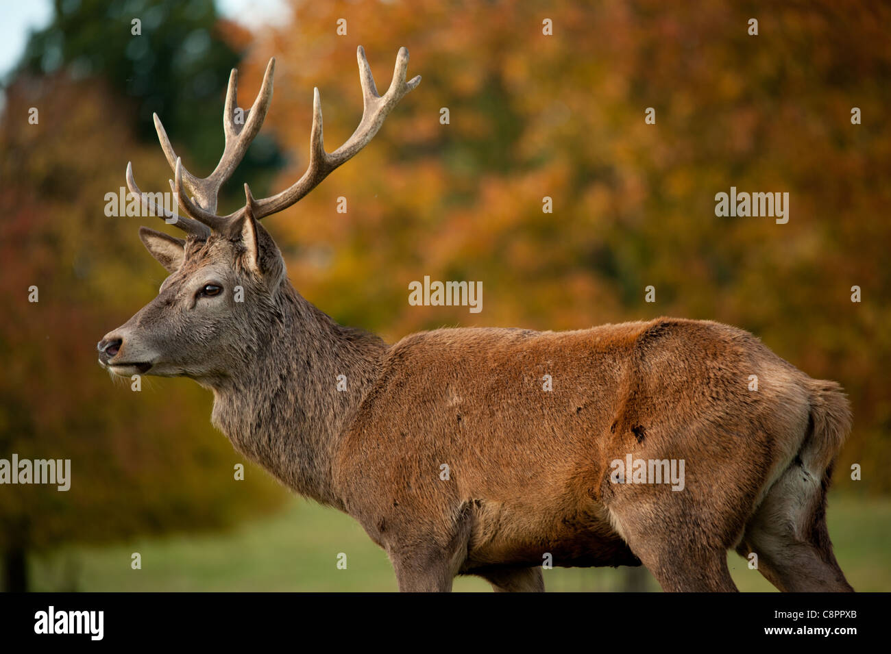 Onlooking hi-res stock photography and images - Alamy