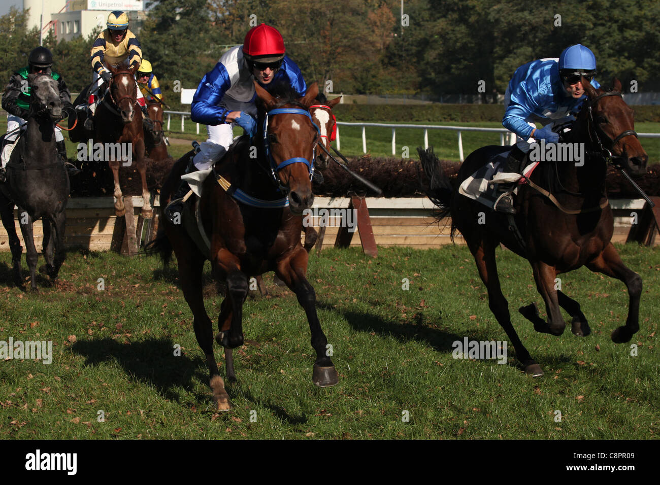 Famous annual steeplechase cross-country run Velka Pardubicka in ...