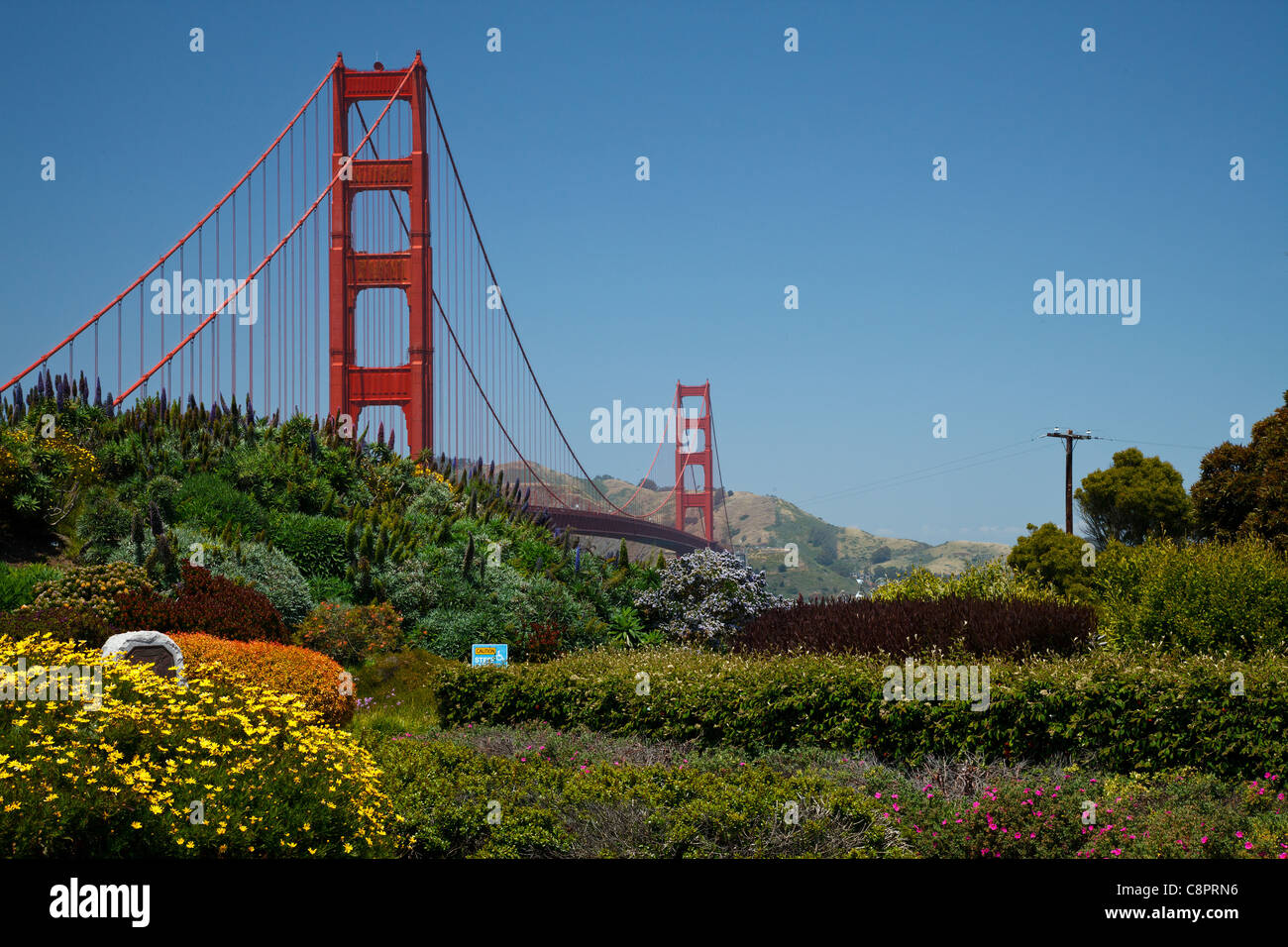 The Golden Gate Bridge in San Francisco with scenic flowers Stock Photo ...