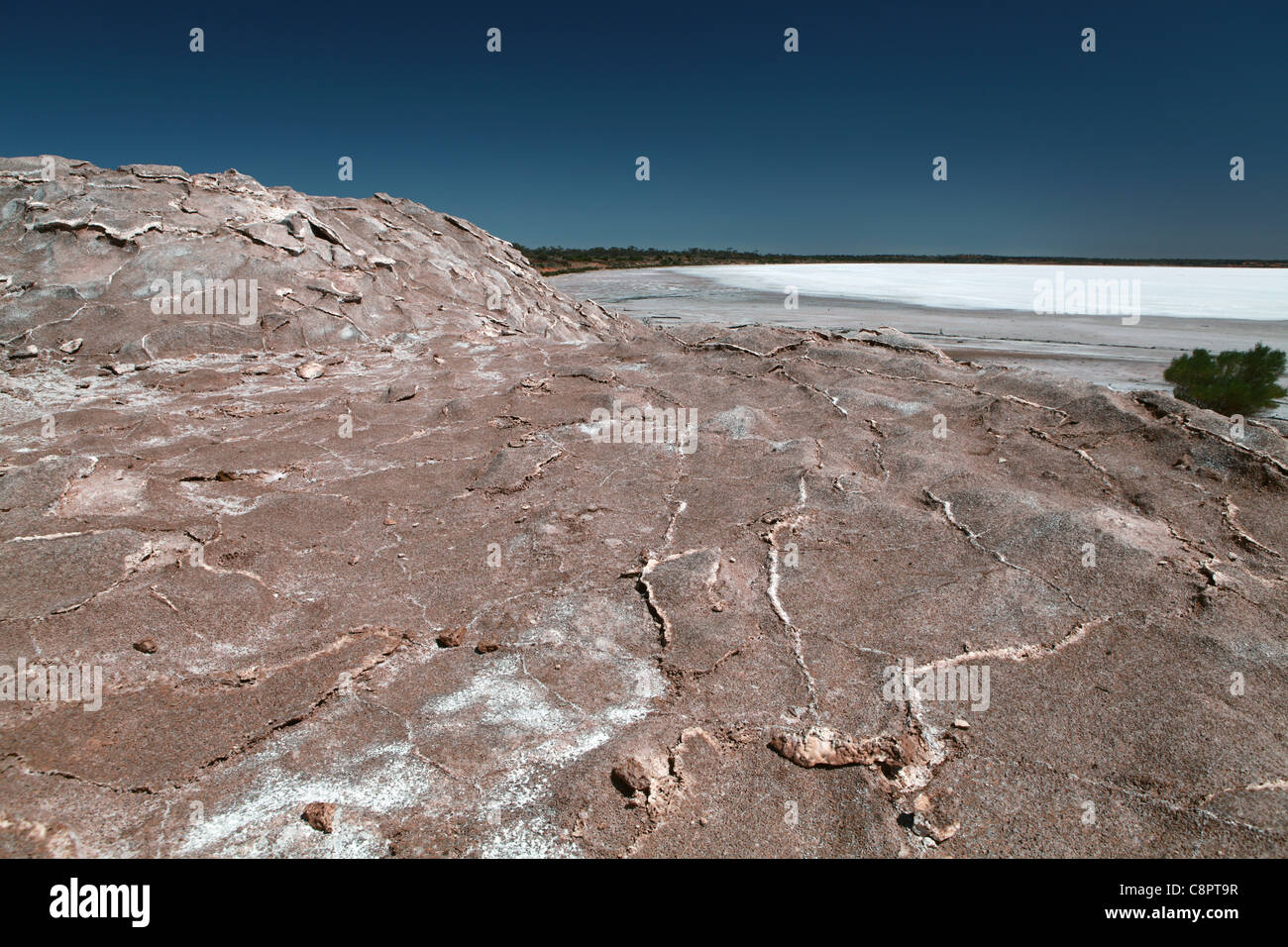 Lake Hart, South Australia Stock Photo - Alamy