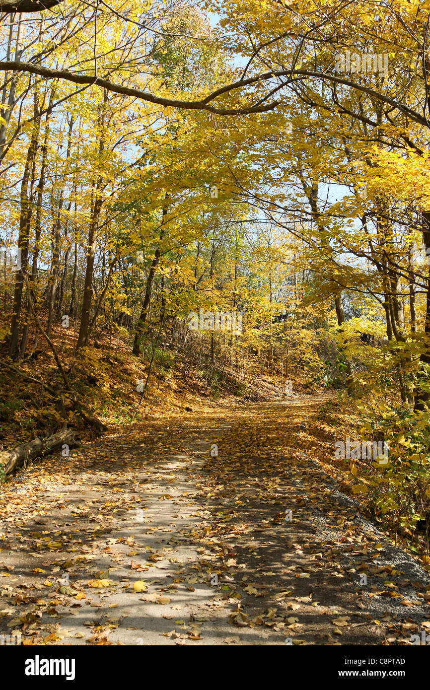 Colourful pathway hi-res stock photography and images - Alamy