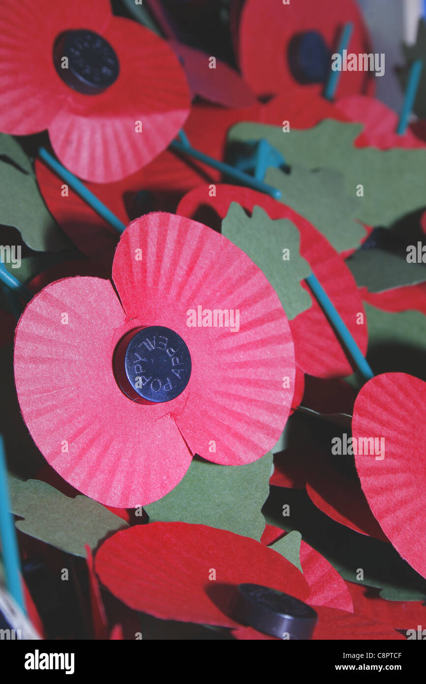World war i poppies hi-res stock photography and images - Alamy