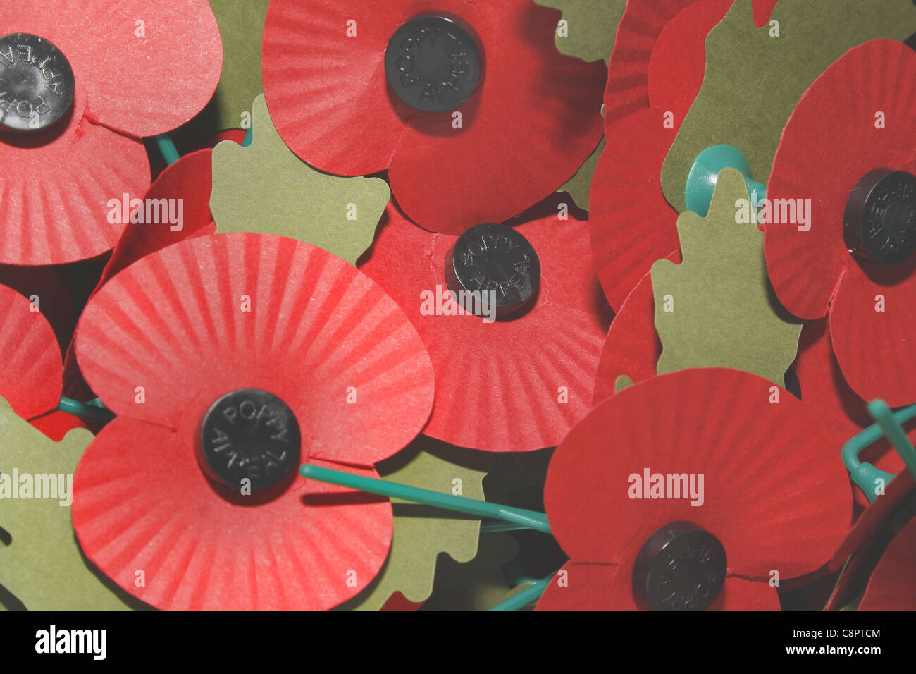 image of red poppies commemorating world war Stock Photo - Alamy