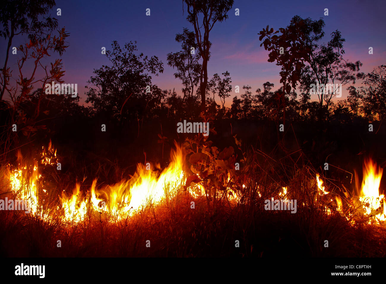 Bushfire northern territory australia hi-res stock photography and ...